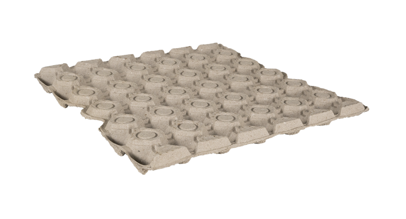 Egg Packaging Solutions - Cascades